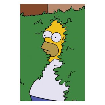 The Simpsons Poster Homer